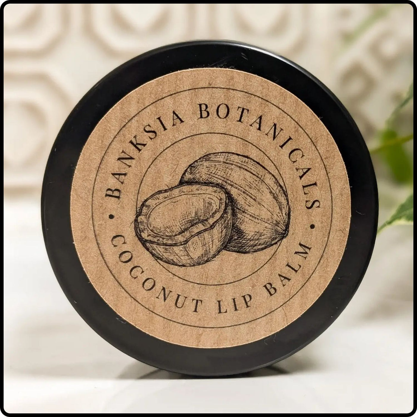 Coconut Beeswax Lip Balm-BB72 – Siân Alison Designs